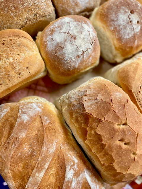 Farm Shop – Derwen Garden Centre